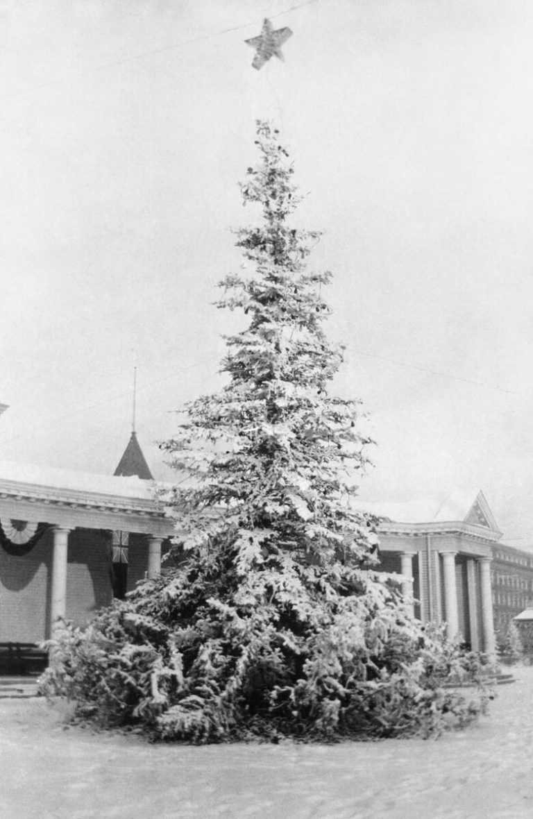 Holiday Light Displays - Calgary Heritage Initiative