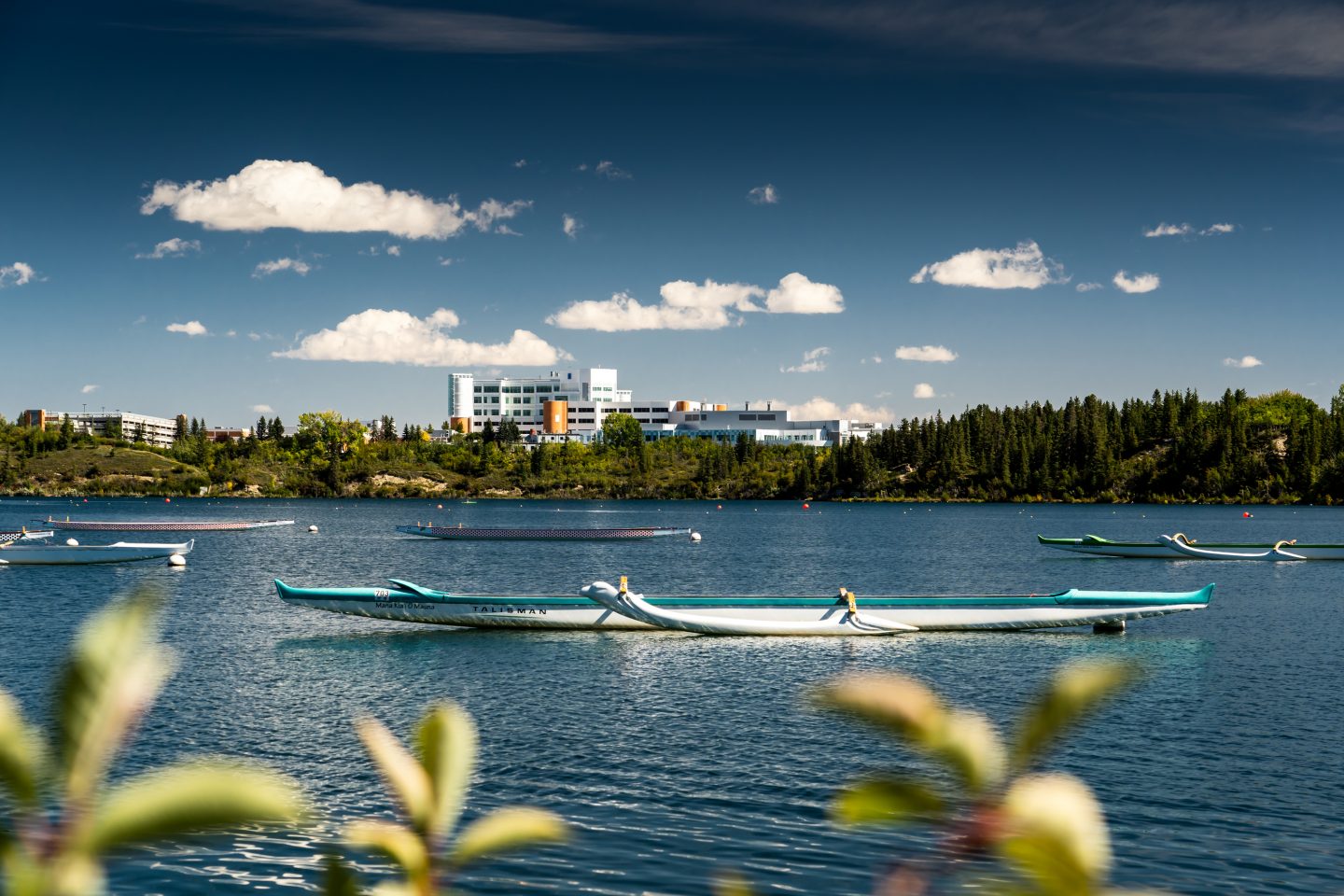 A Short History of Calgary’s Dams - Calgary Heritage Initiative