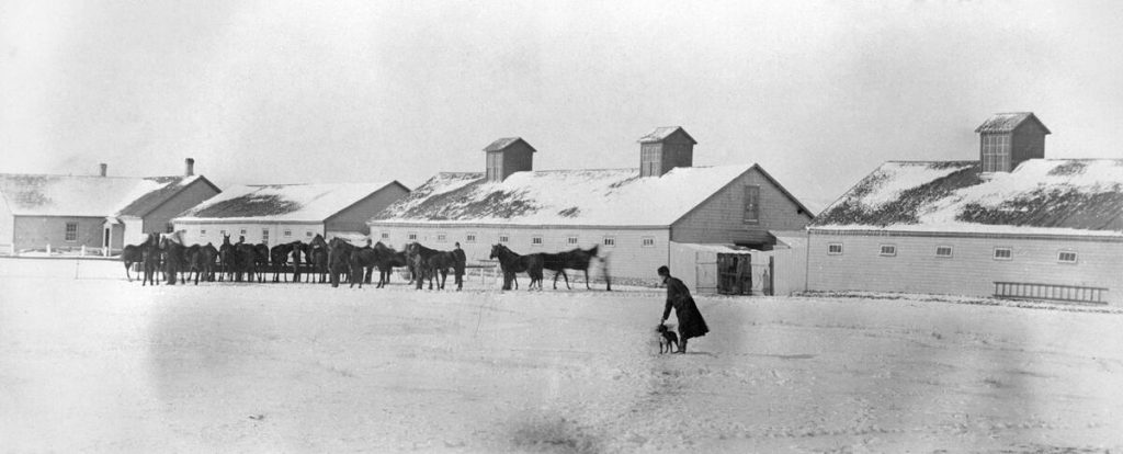 Calgary’s Museums - Calgary Heritage Initiative